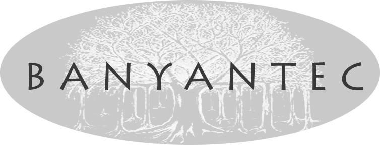 Chayanne Logo Chayanne Official Store